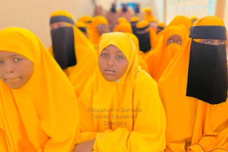 Somali education directory: Best Schools and Universities in Somalia